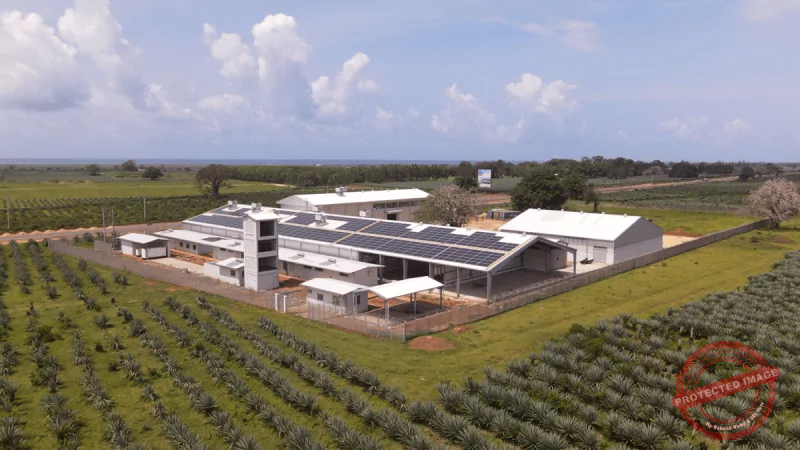 Nuts & More Processing (EA) EPZ Ltd